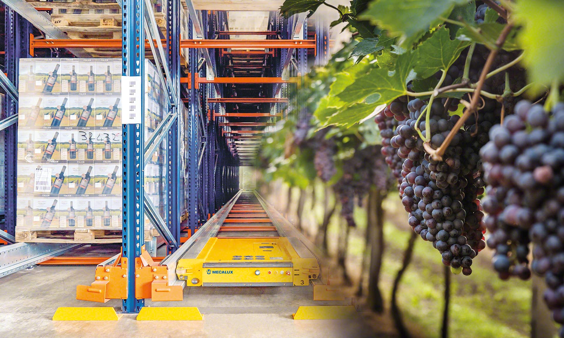 Claves para el almacenamiento del vino - Mecalux.com.mx