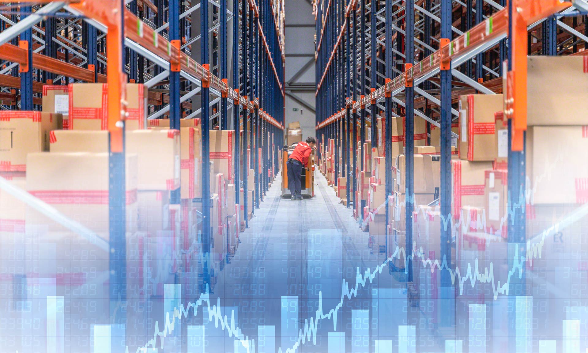 Especialista de inventario: perfil y funciones - Mecalux.com.mx