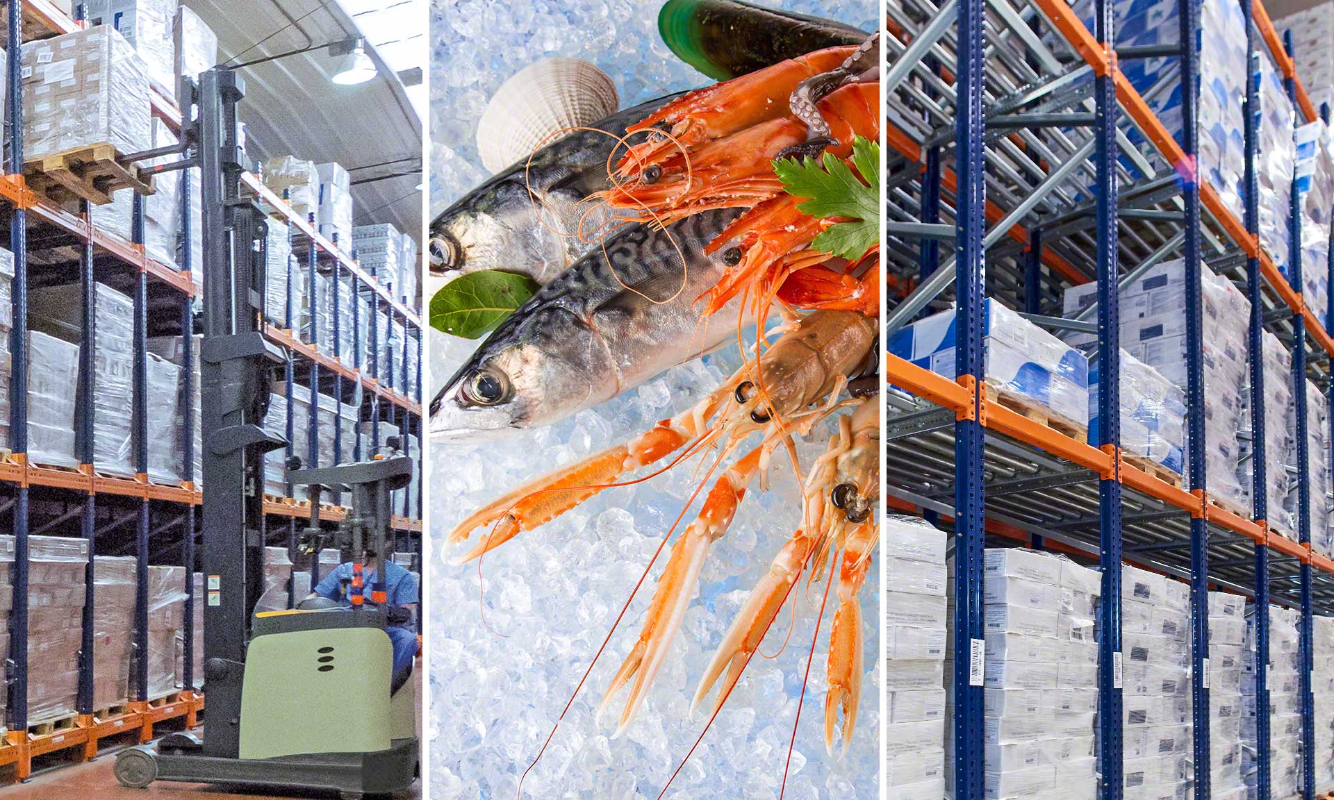 Rainforest Seafoods: cámara de congelación - Mecalux.com.mx