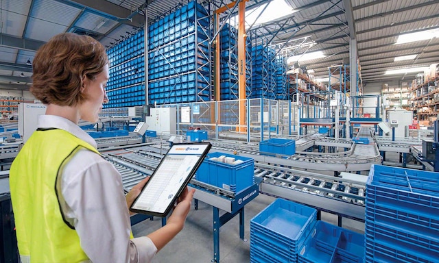 Stock muerto: qué es y ejemplos de cómo evitarlo - Mecalux.com.mx